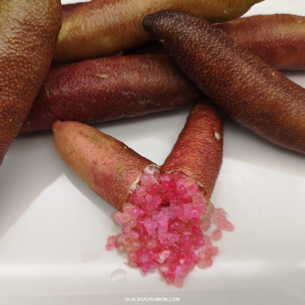 Sale of fresh Lemon Caviar PINK-DELICE | La Casa Del Limon Caviar